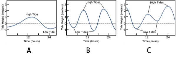 Solved match the tide chart to the appropriate tidal | Chegg.com