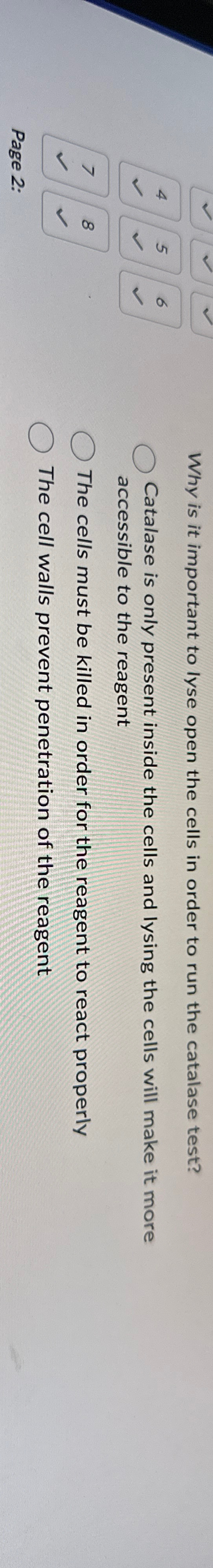Solved Why is it important to lyse open the cells in order | Chegg.com