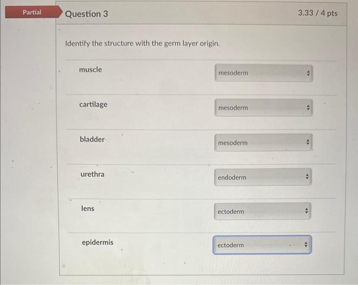Solved Identify the structure with the germ layer origin. | Chegg.com