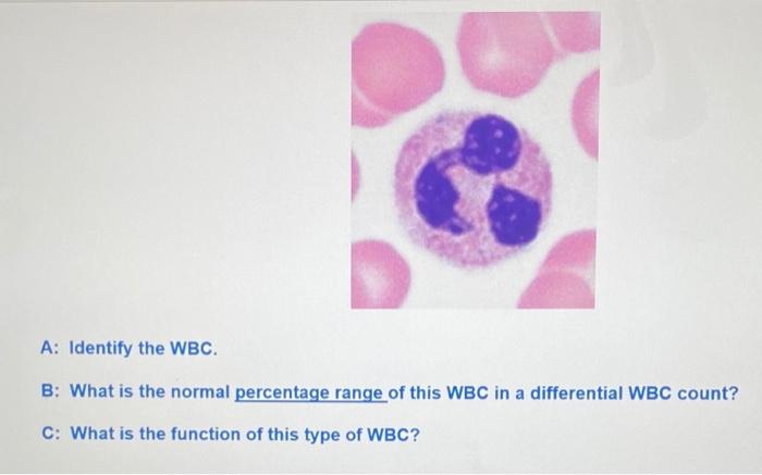 Solved A: Identify the WBC. B: What is the normal percentage | Chegg.com