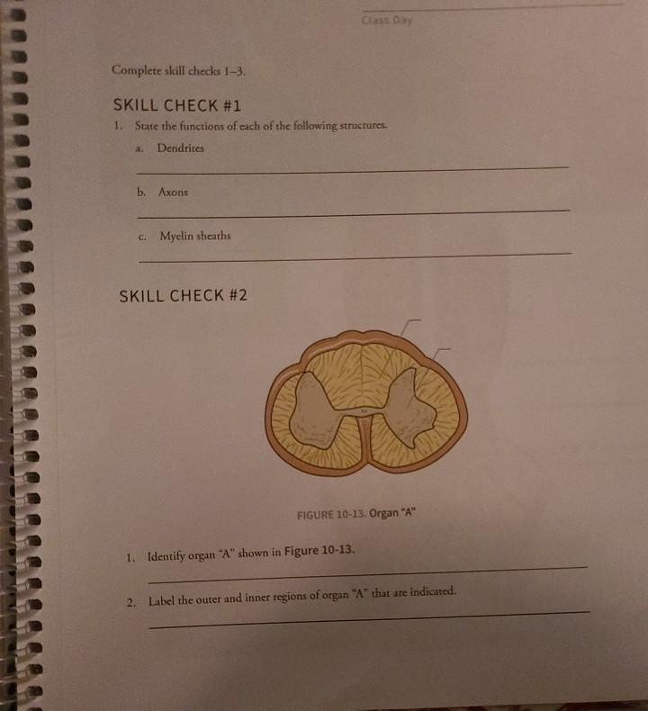 Solved Complete skill checks 1-3. SKILL CHECK #1 1. State | Chegg.com