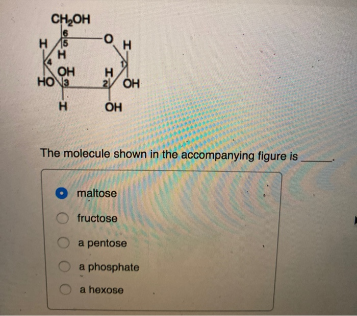 Solved CH2OH cole 의 OH ОН The molecule shown in the | Chegg.com