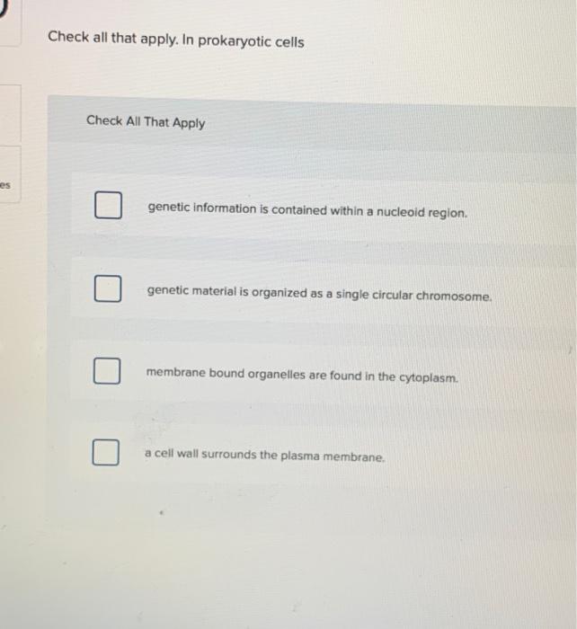 Solved Check all that apply. In prokaryotic cells Check All | Chegg.com