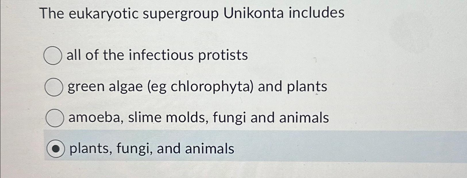 Solved The eukaryotic supergroup Unikonta includesall of the | Chegg.com