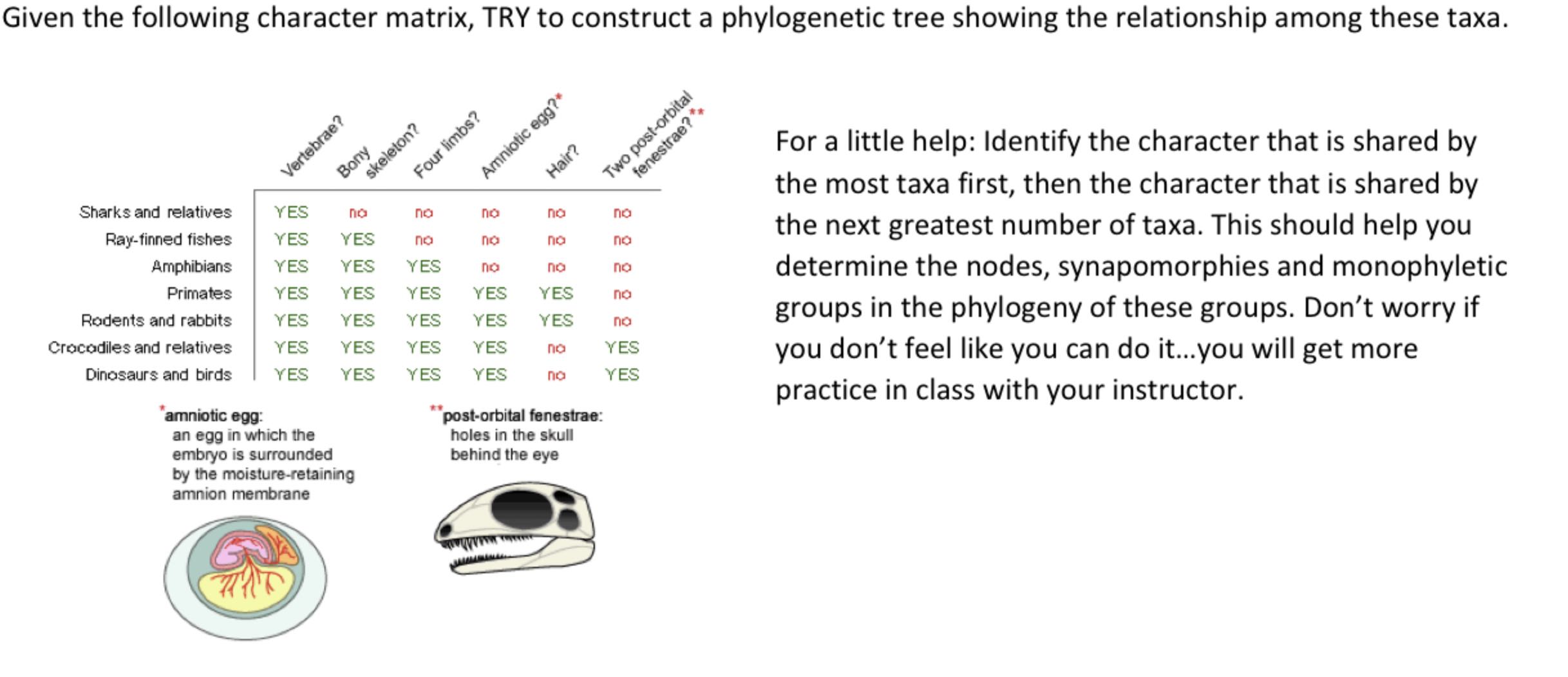 Solved Given the following character matrix, TRY to | Chegg.com