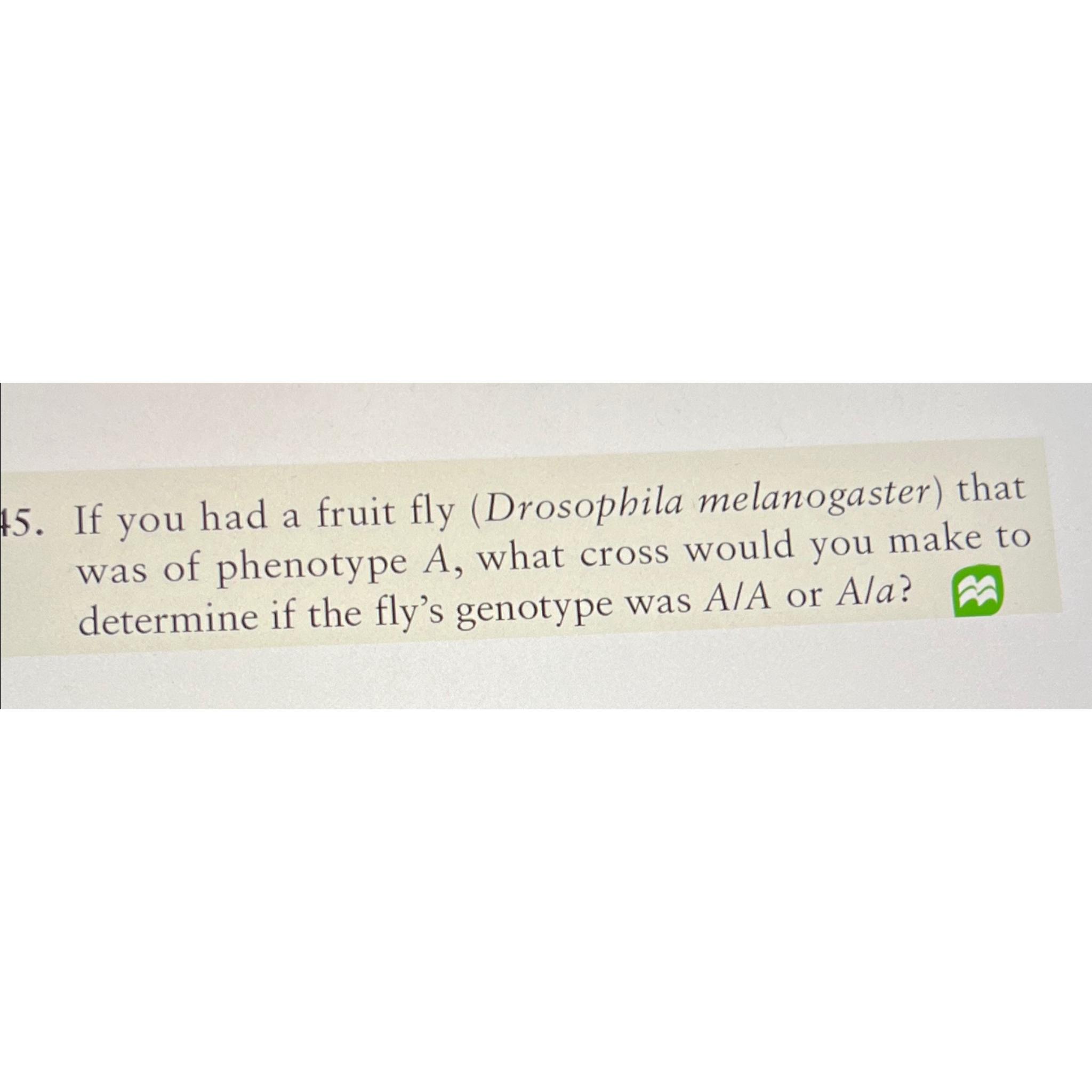 Solved If you had a fruit fly (Drosophila melanogaster) | Chegg.com