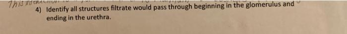Solved 4) Identify all structures filtrate would pass | Chegg.com