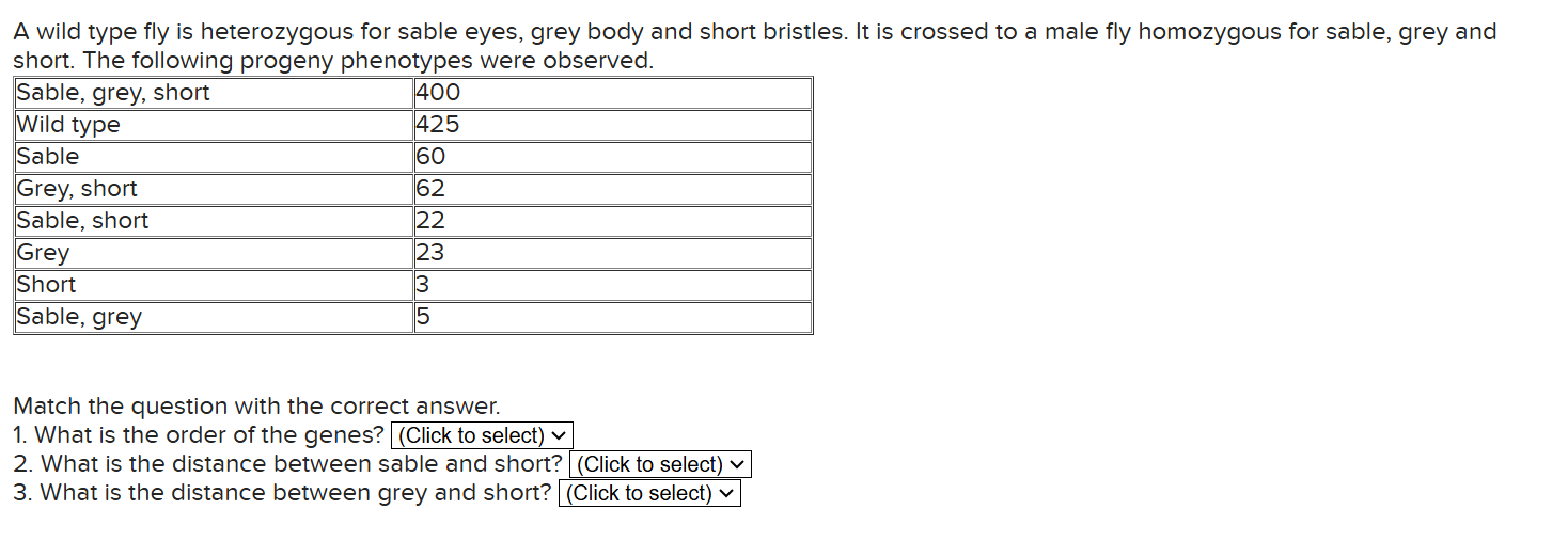 Solved A wild type fly is heterozygous for sable eyes, grey | Chegg.com