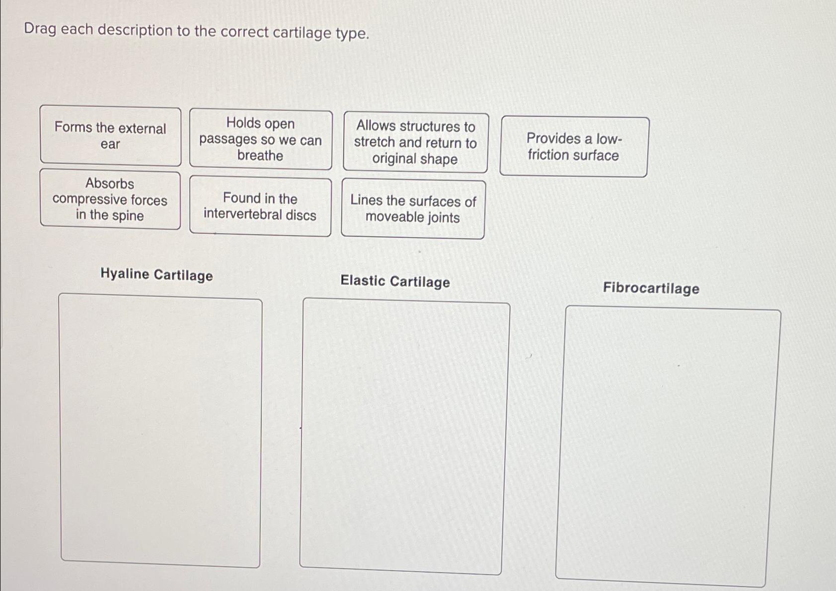 Solved Drag each description to the correct cartilage type. | Chegg.com