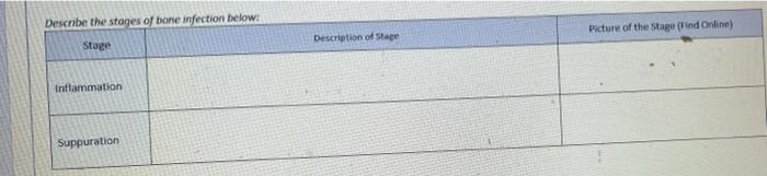 Solved Describe the stages of bone infection below: Stage | Chegg.com
