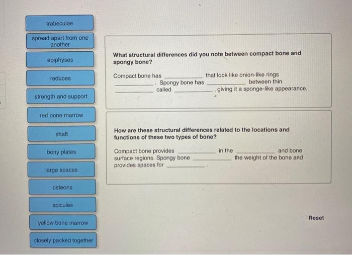Solved What structural differences did you note between | Chegg.com Solved What structural differences did you note between | Chegg.com