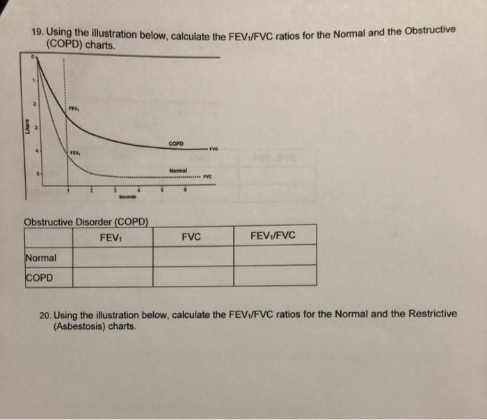 Solved 19. Using the illustration below, calculate the | Chegg.com