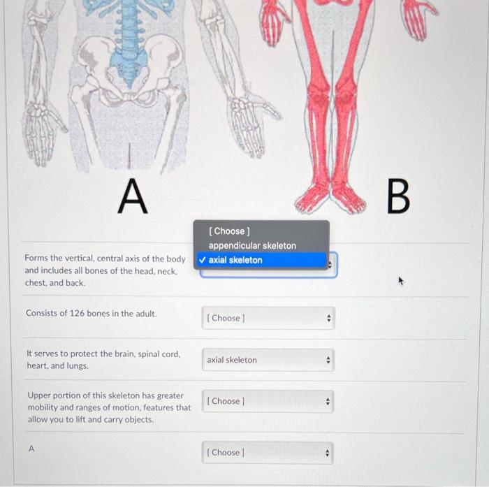 Solved Match the descriptor on the left with the correct | Chegg.com