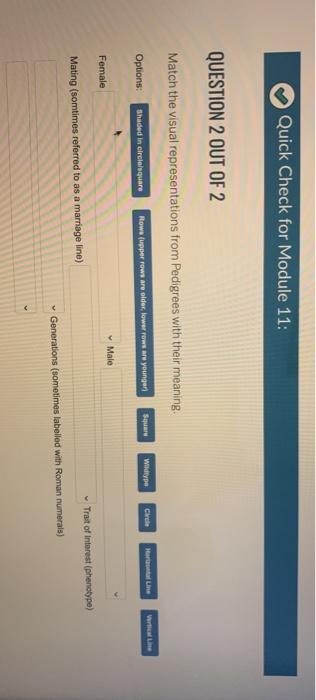 Solved Quick Check for Module 11: QUESTION 2 OUT OF 2 Match | Chegg.com