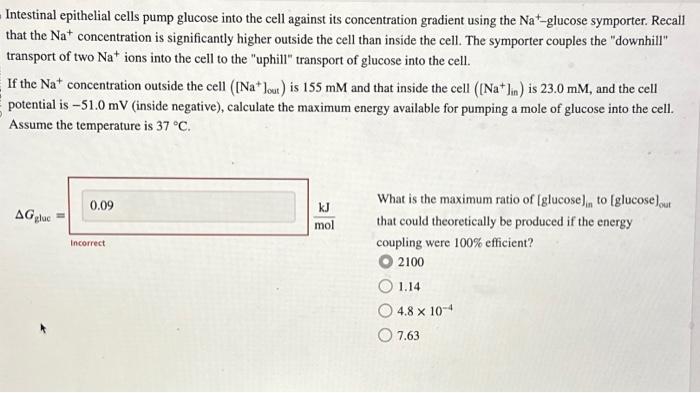Solved Intestinal epithelial cells pump glucose into the | Chegg.com