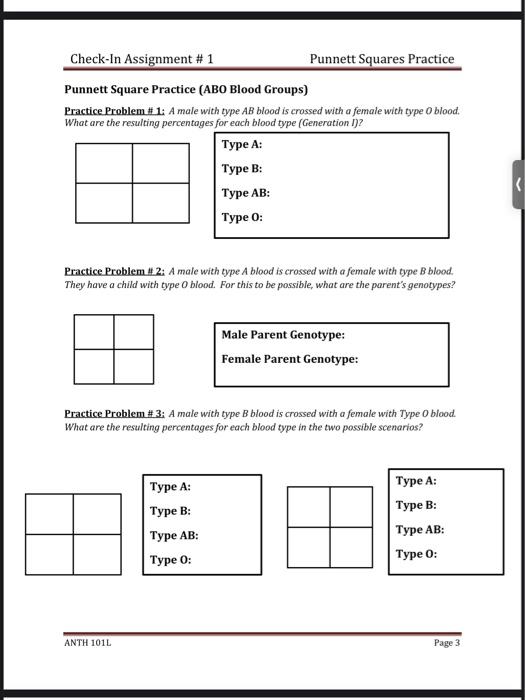 Solved Check-In Assignment #1 Punnett Squares Practice | Chegg.com