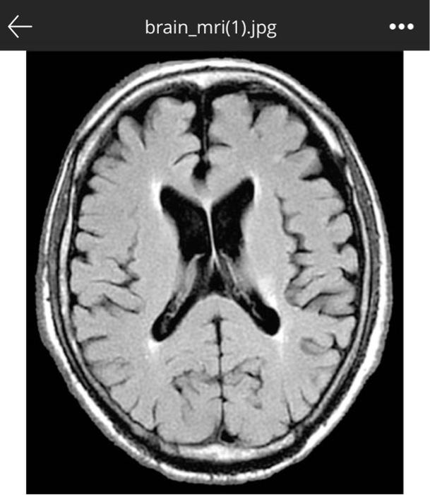 Solved Questions: 1. What is the difference between binary, | Chegg.com