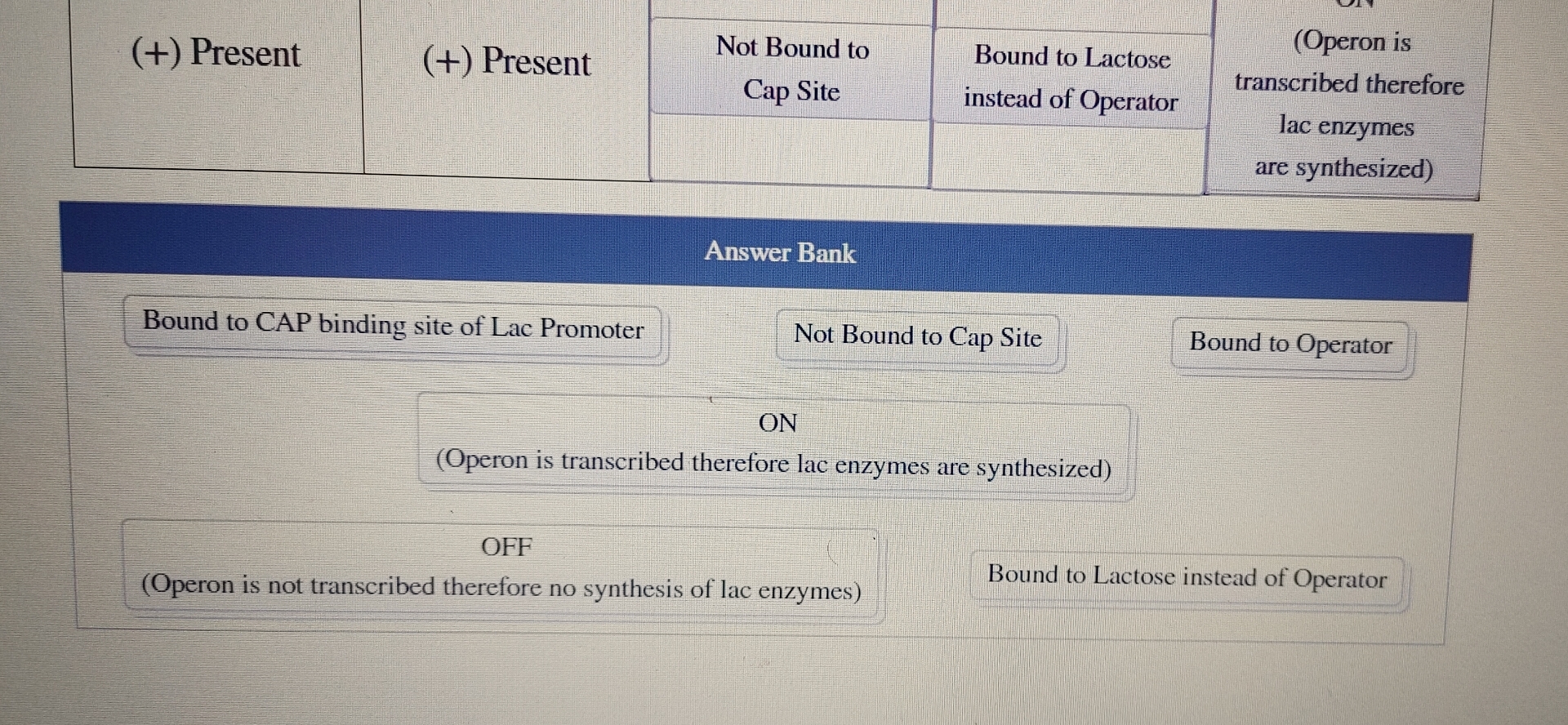 Describe the level of genetic activity of the lac | Chegg.com