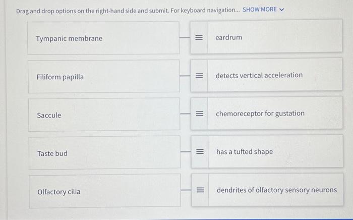 Solved Drag and drop options on the right-hand side and | Chegg.com