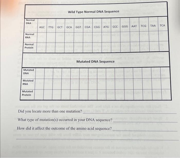Normal DNA Normal RNA Normal Protein Mutated DNA 200 | Chegg.com
