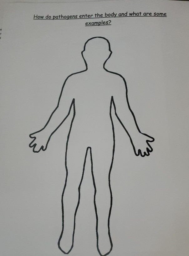 Solved How do pathogens enter the body and what are some | Chegg.com