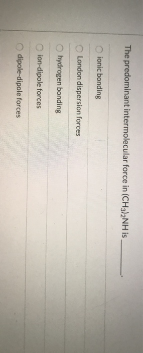 Solved The predominant intermolecular force in (CH3)2NH is. | Chegg.com