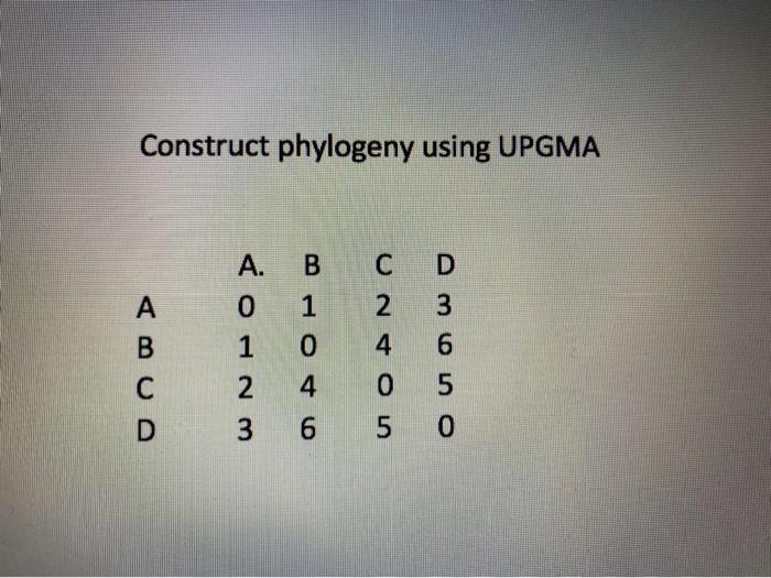 Solved Construct phylogeny using UPGMA A. C ABCD ANTO? 0 1 3 | Chegg.com