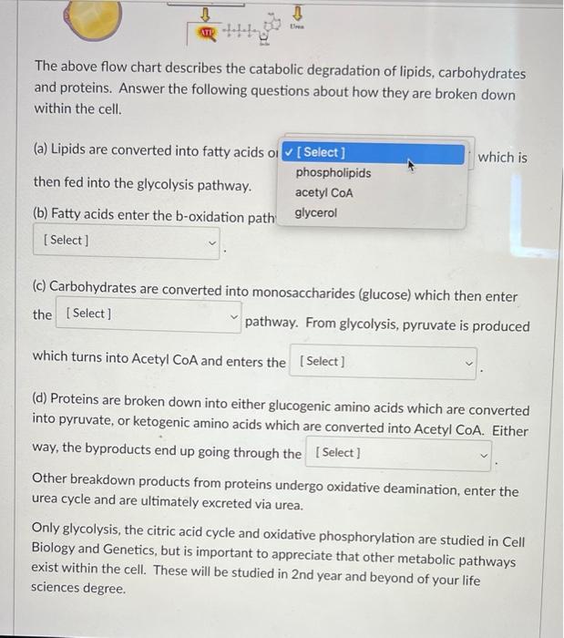 Solved you dont have to rewrite the whole thing again.just | Chegg.com