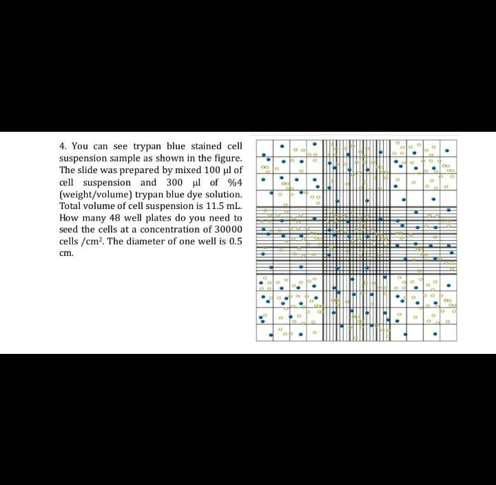 Solved 4. You can see trypan blue stained cell suspension | Chegg.com