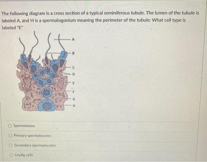 The following diagram is a cross section of a typical | Chegg.com