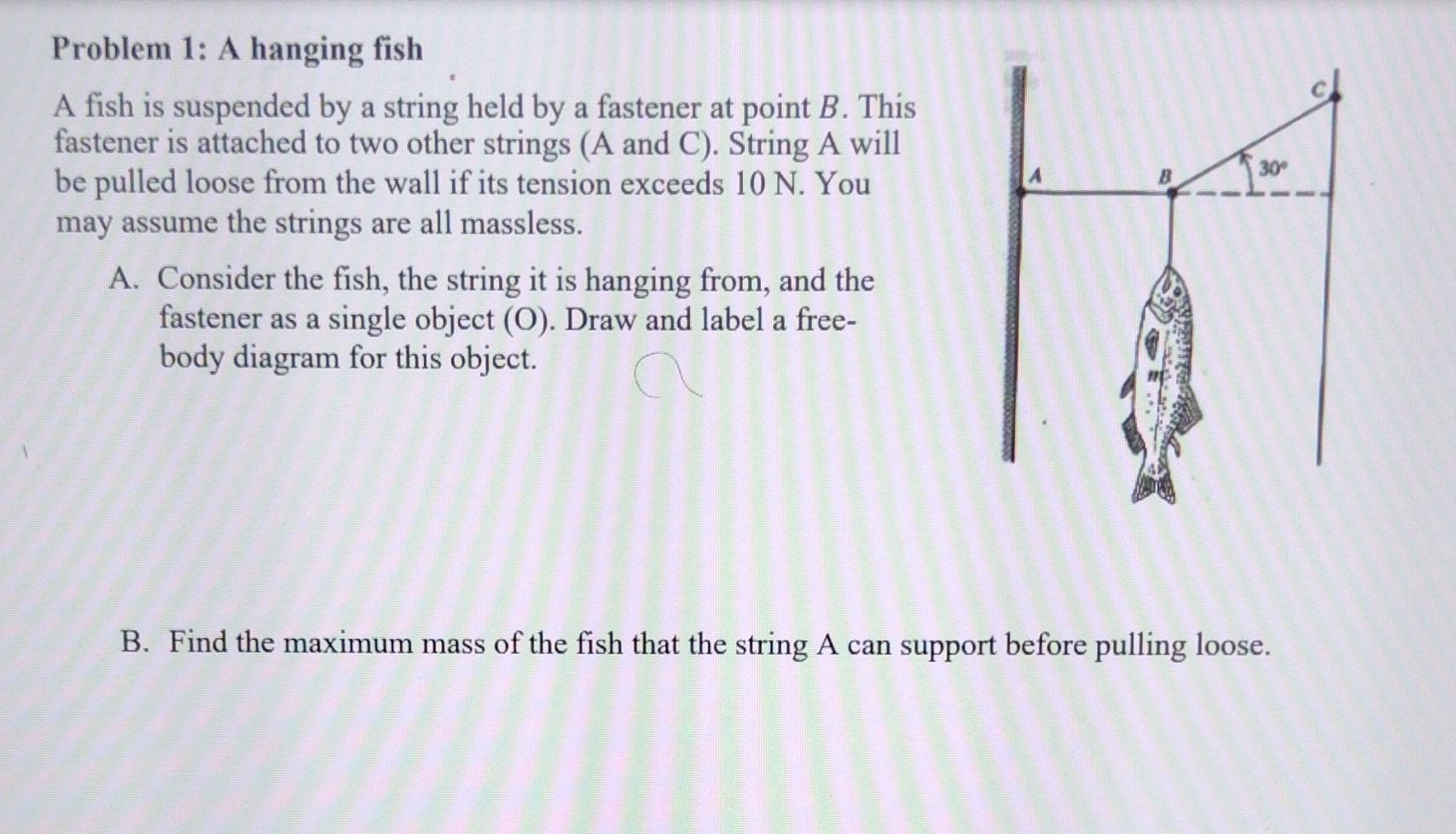 Solved Problem 1: A hanging fish A fish is suspended by a | Chegg.com