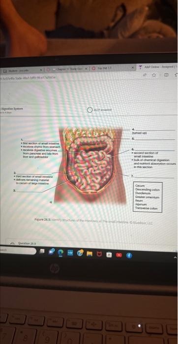 Solved E | Chegg.com