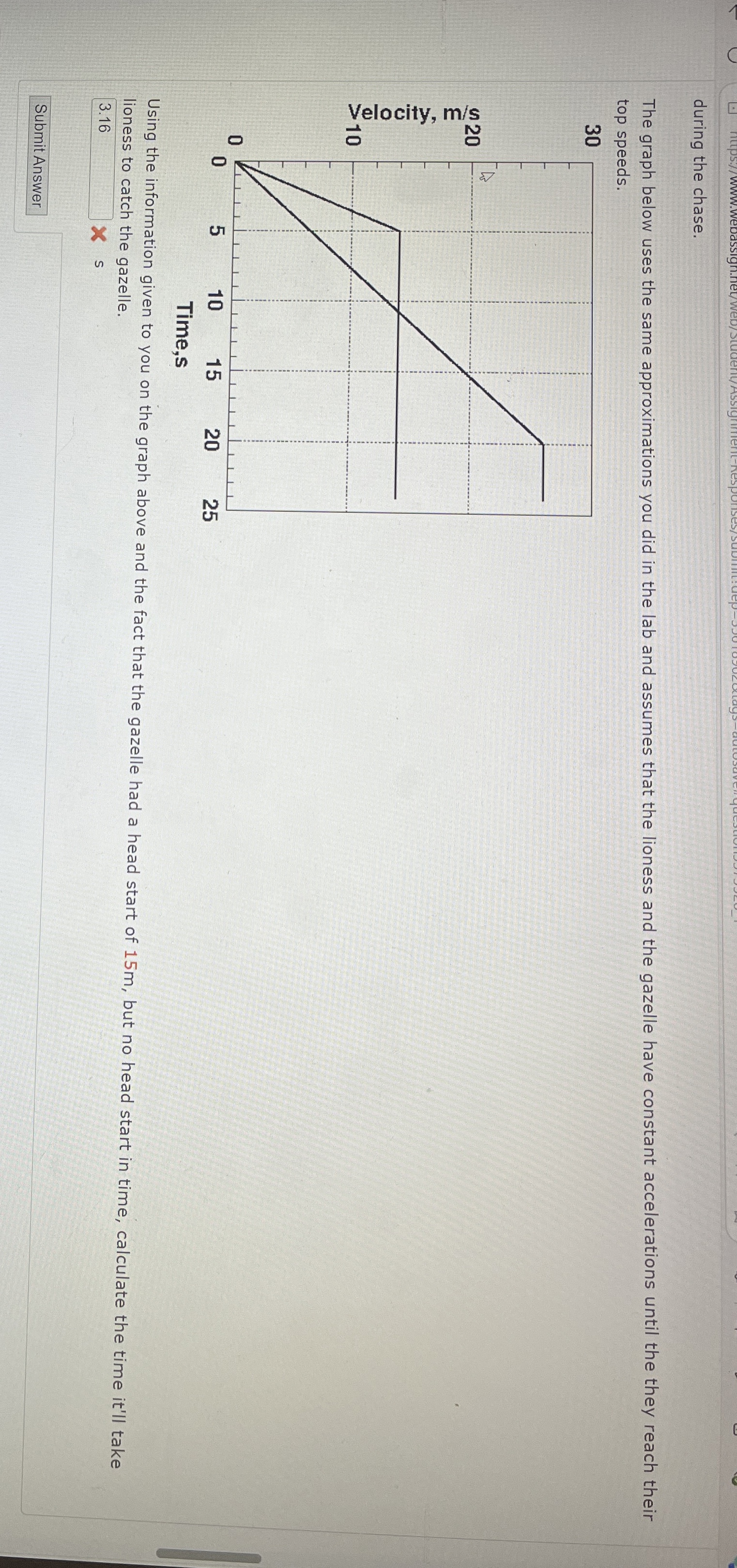 Solved Using the information given to you on the graph above | Chegg.com