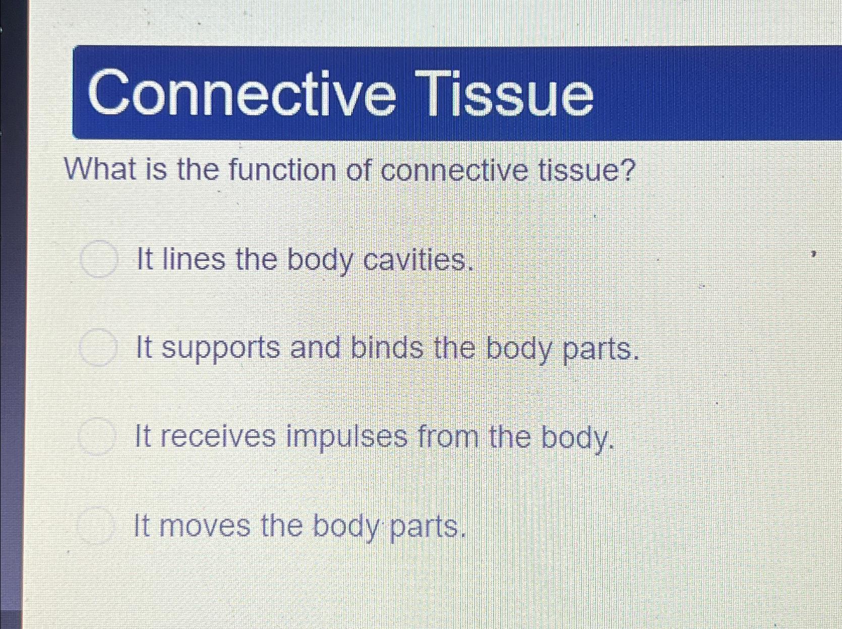 Solved Connective TissueWhat is the function of connective | Chegg.com