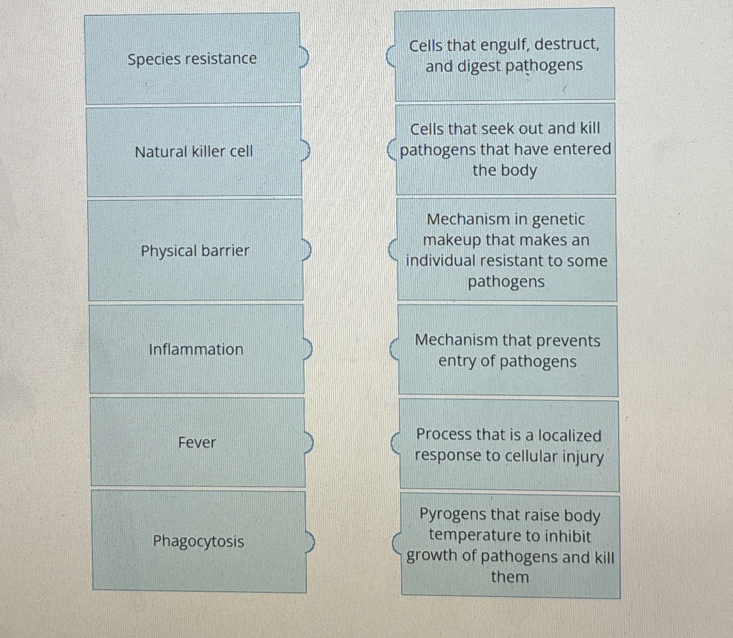 Solved Cells that engulf, destruct, and digest | Chegg.com