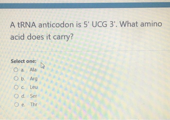 Solved A tRNA anticodon is 5' UCG 3. What amino acid does it | Chegg.com