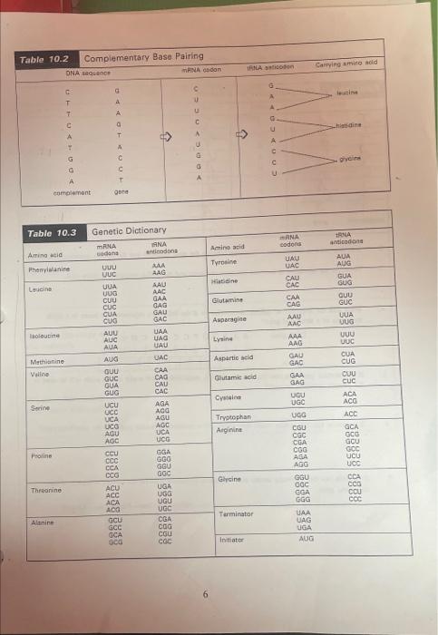 Solved Directions: Use the complete codon dictionary (uble | Chegg.com