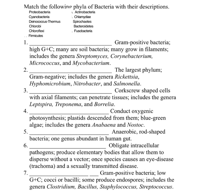 Solved Match the following phyla of Bacteria with their | Chegg.com