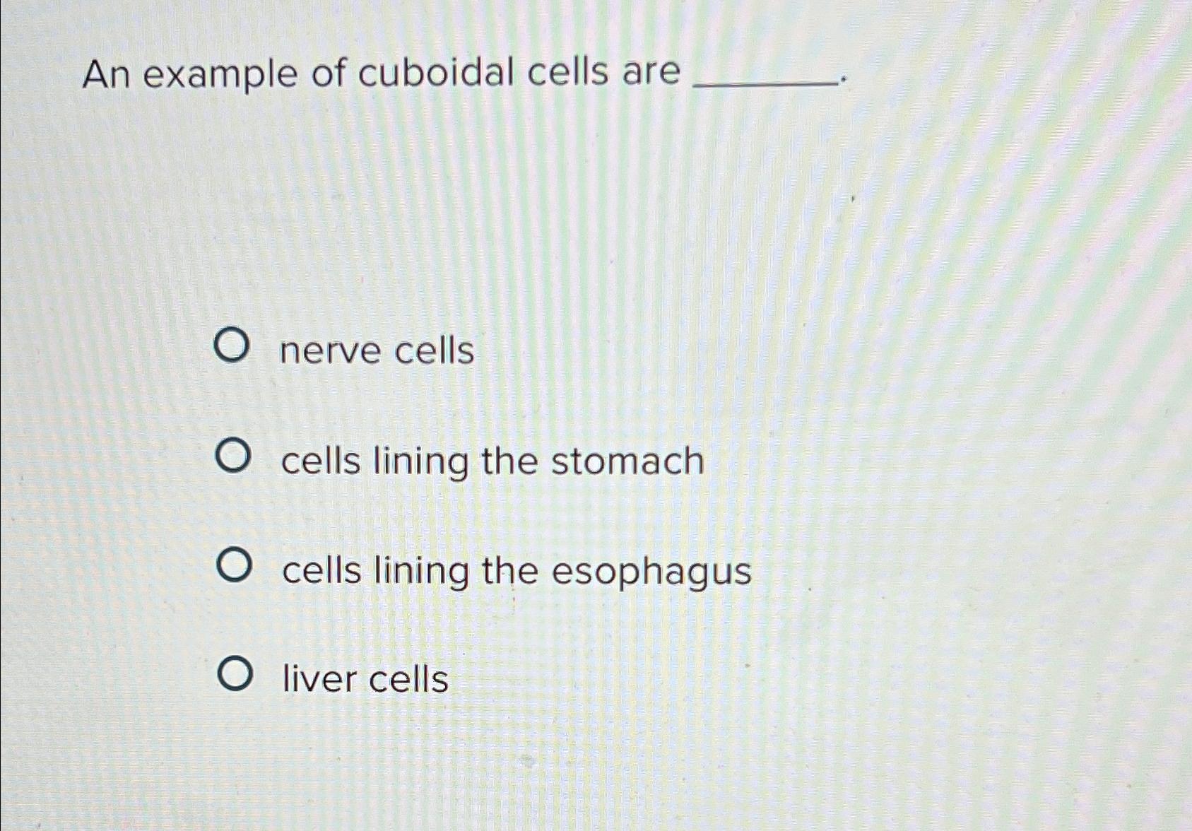 Solved An example of cuboidal cells arenerve cellscells | Chegg.com