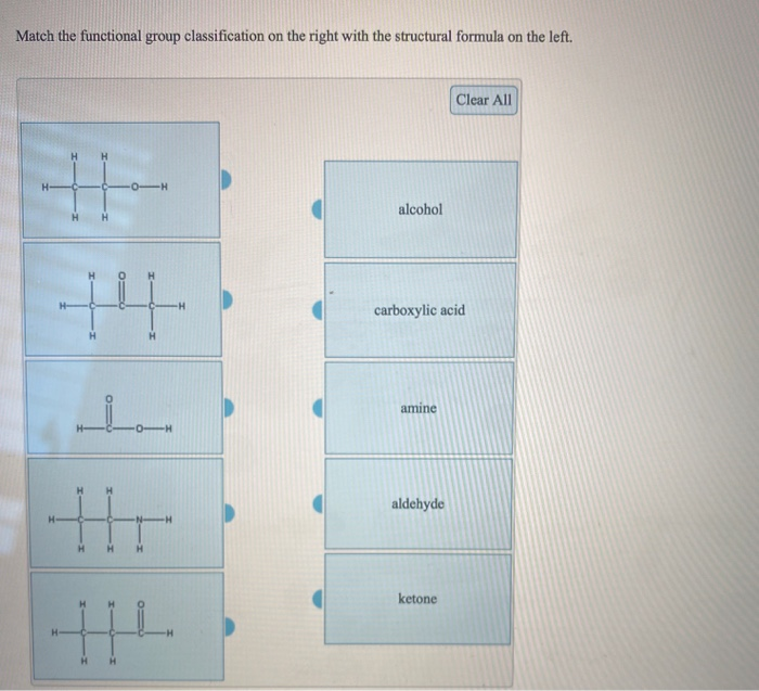 Solved Match the functional group classification on the | Chegg.com