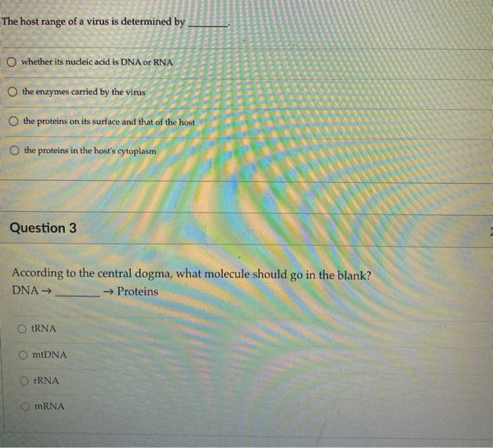 Solved How does the primary transcript in the nucleus of a | Chegg.com