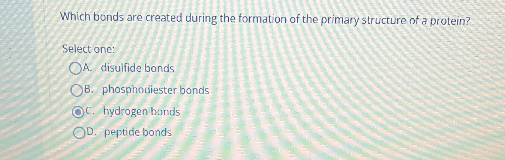 Solved Which bonds are created during the formation of the | Chegg.com