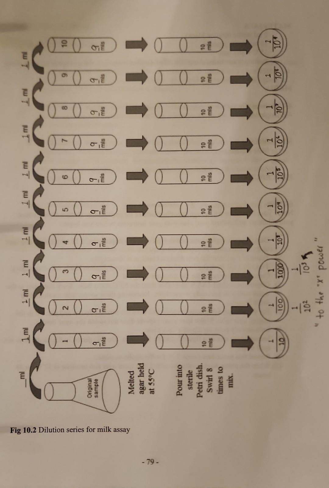 A. Show your calculations here B. Is the milk | Chegg.com