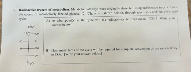 Solved Radioactive tracers of metabolism. Metabolic pathways | Chegg.com