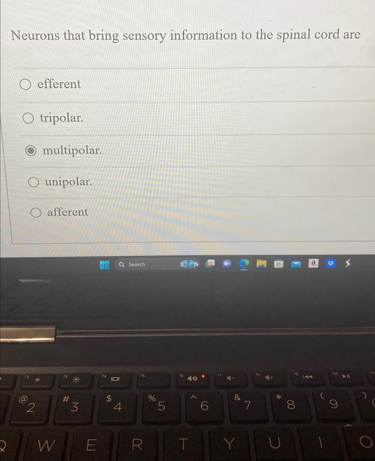 Solved Neurons that bring sensory information to the spinal | Chegg.com