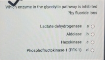 Solved Which enzyme in the glyoolgtic pathway is inhibited | Chegg.com