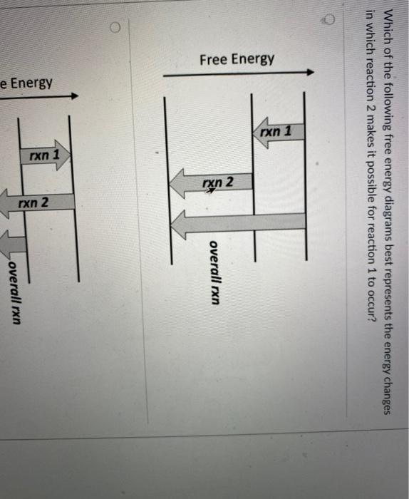 Solved Which of the following free energy diagrams best | Chegg.com