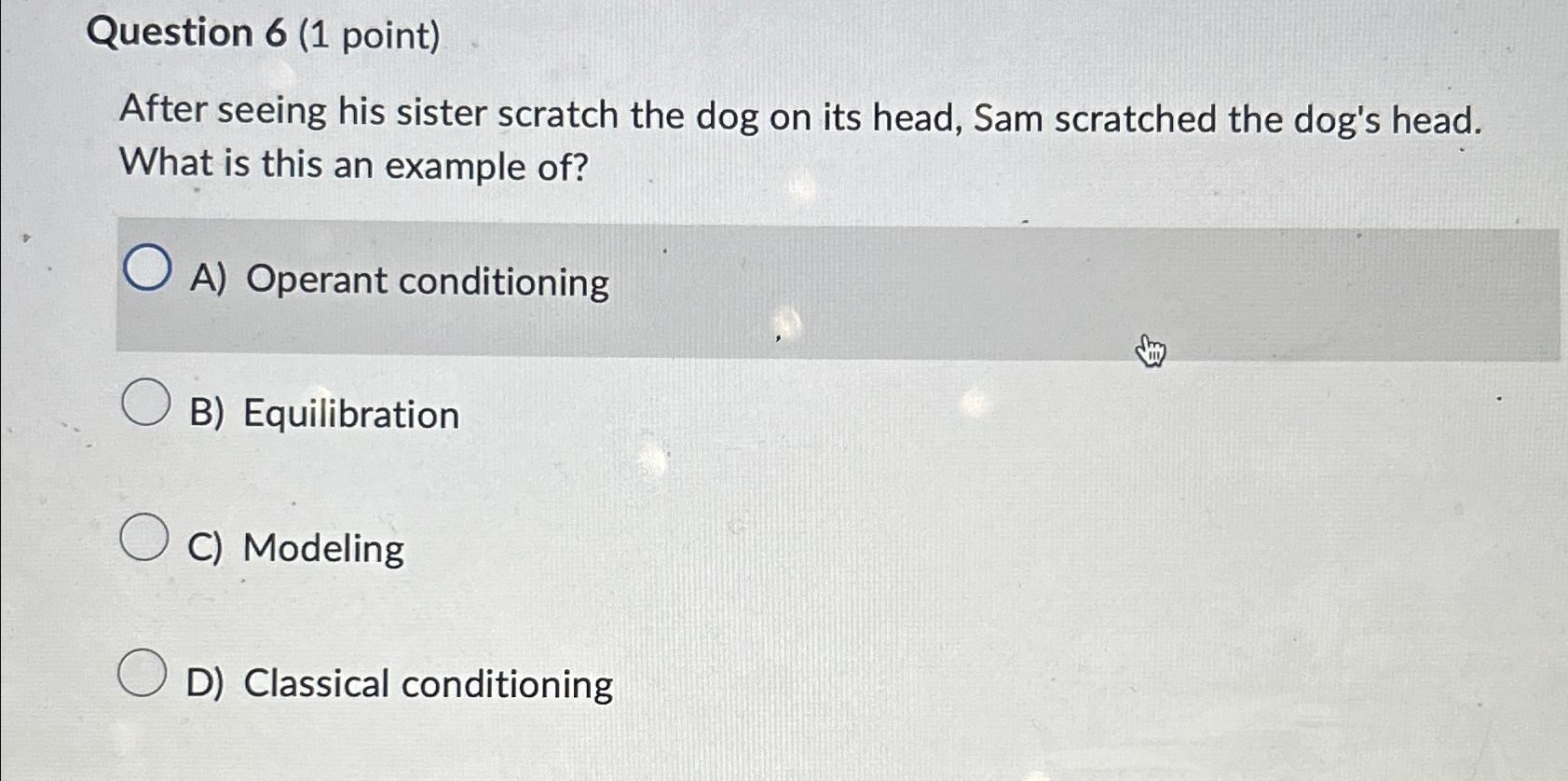 Solved Question 6 (1 ﻿point)After seeing his sister scratch | Chegg.com