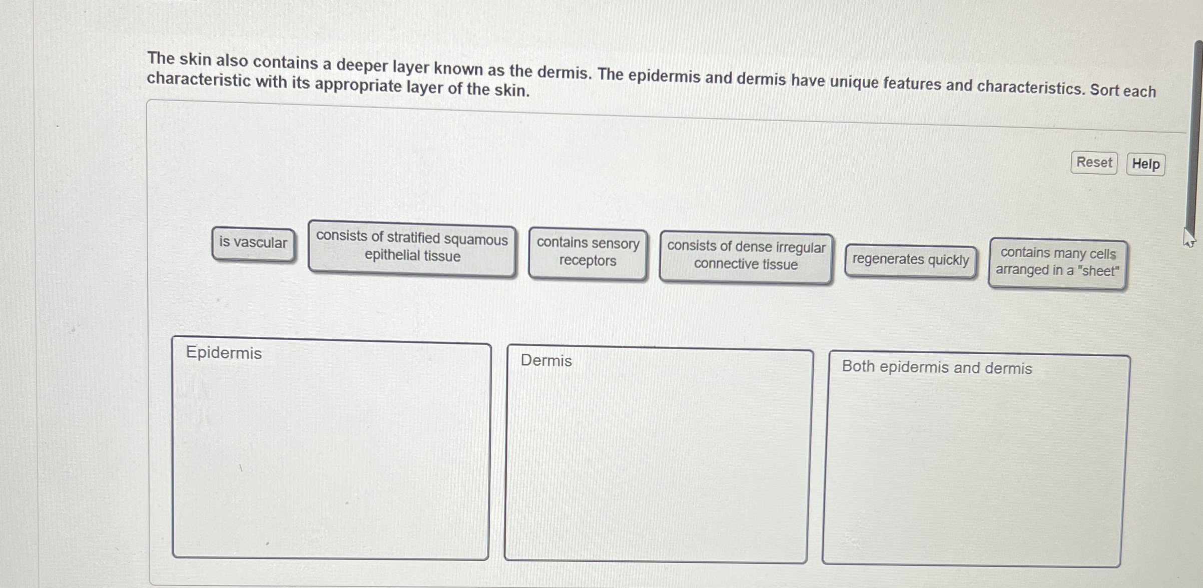 Solved The skin also contains a deeper layer known as the | Chegg.com