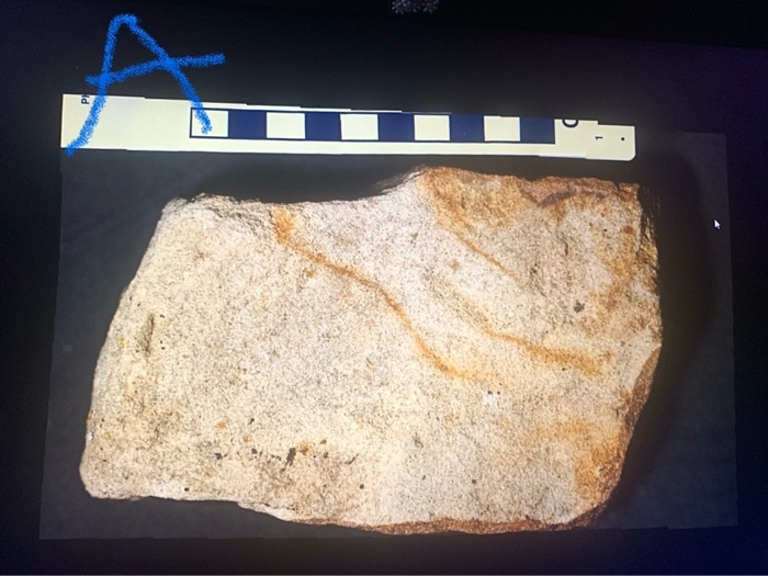 Solved 1 Identify the rock type that makes up each sample: | Chegg.com